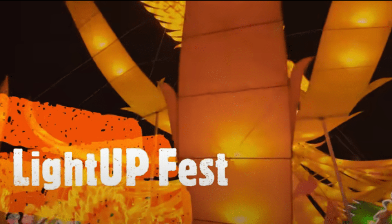 Lightup Fest Lights up One Loudoun