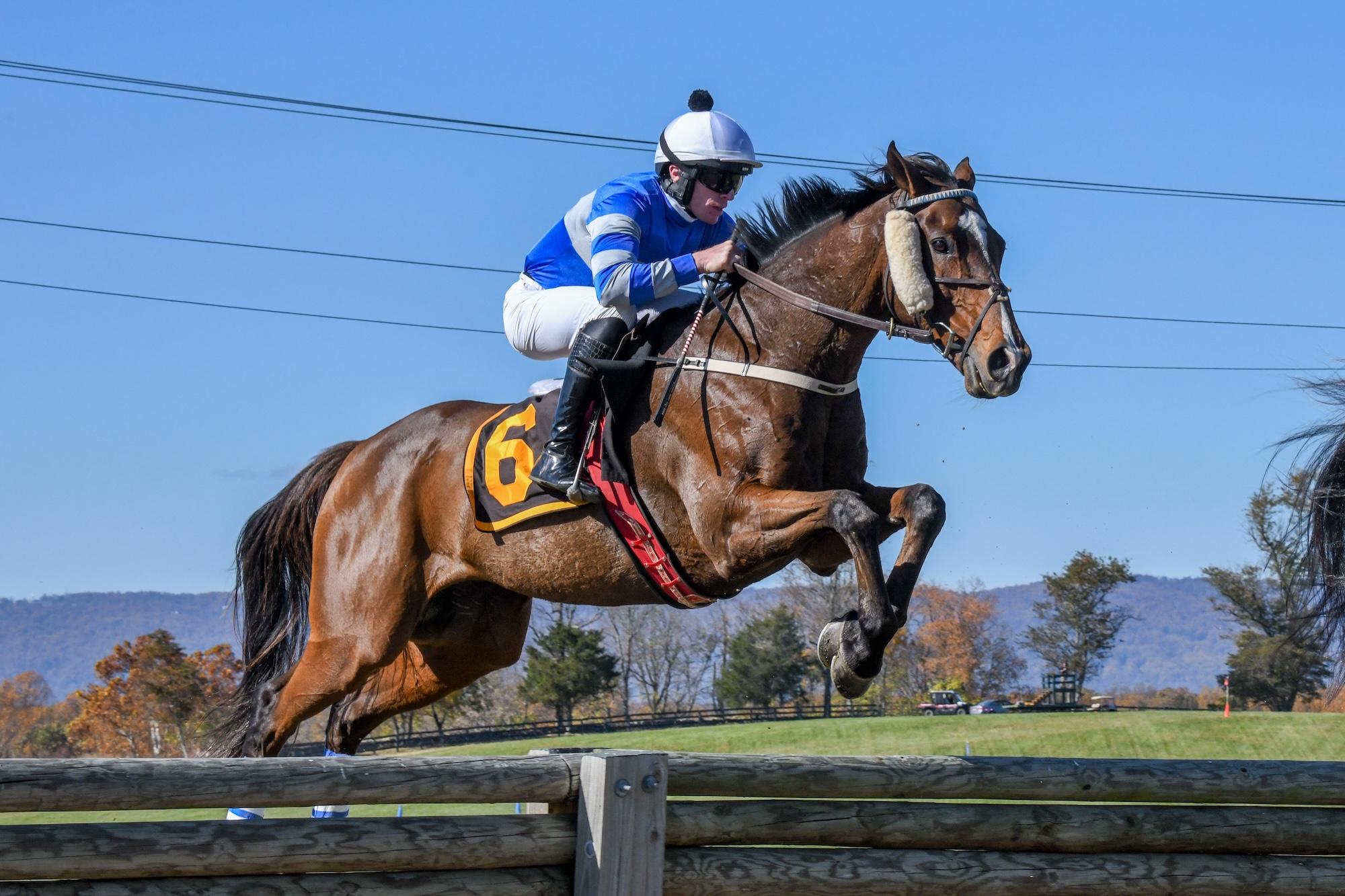 Largest steeplechase event in the country returns to Virginia this month